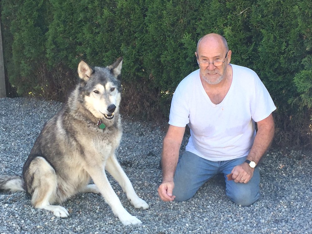 Dog Boarding Kennels Abbotsford Chilliwack Fraser Valley BC - Green ...